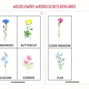 Wildflowers Montessori Cards, Summer Flowers Flash Cards, Three Part ...