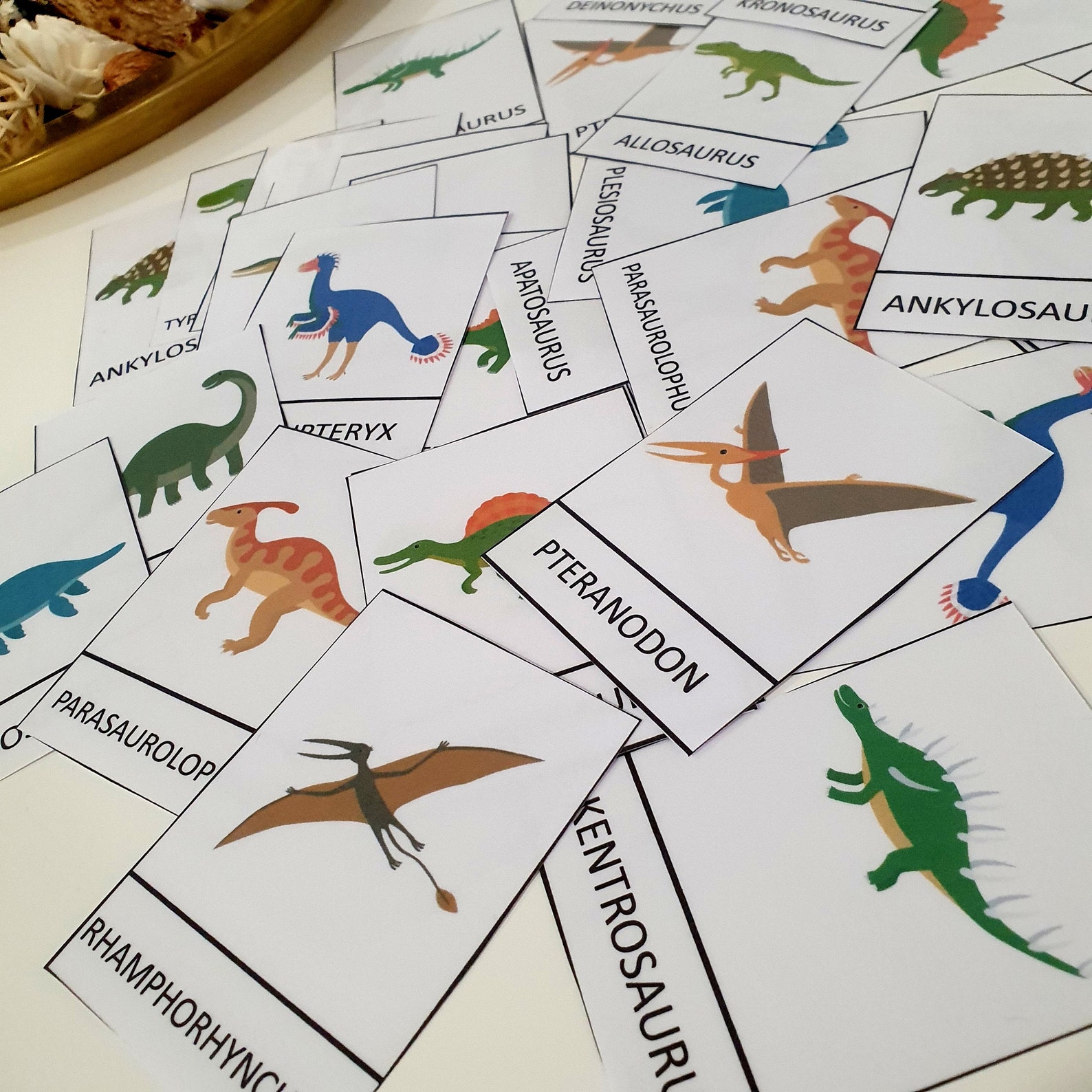Dinosaur Montessori Flashcards for Toddlers Three-part Cards - Etsy UK