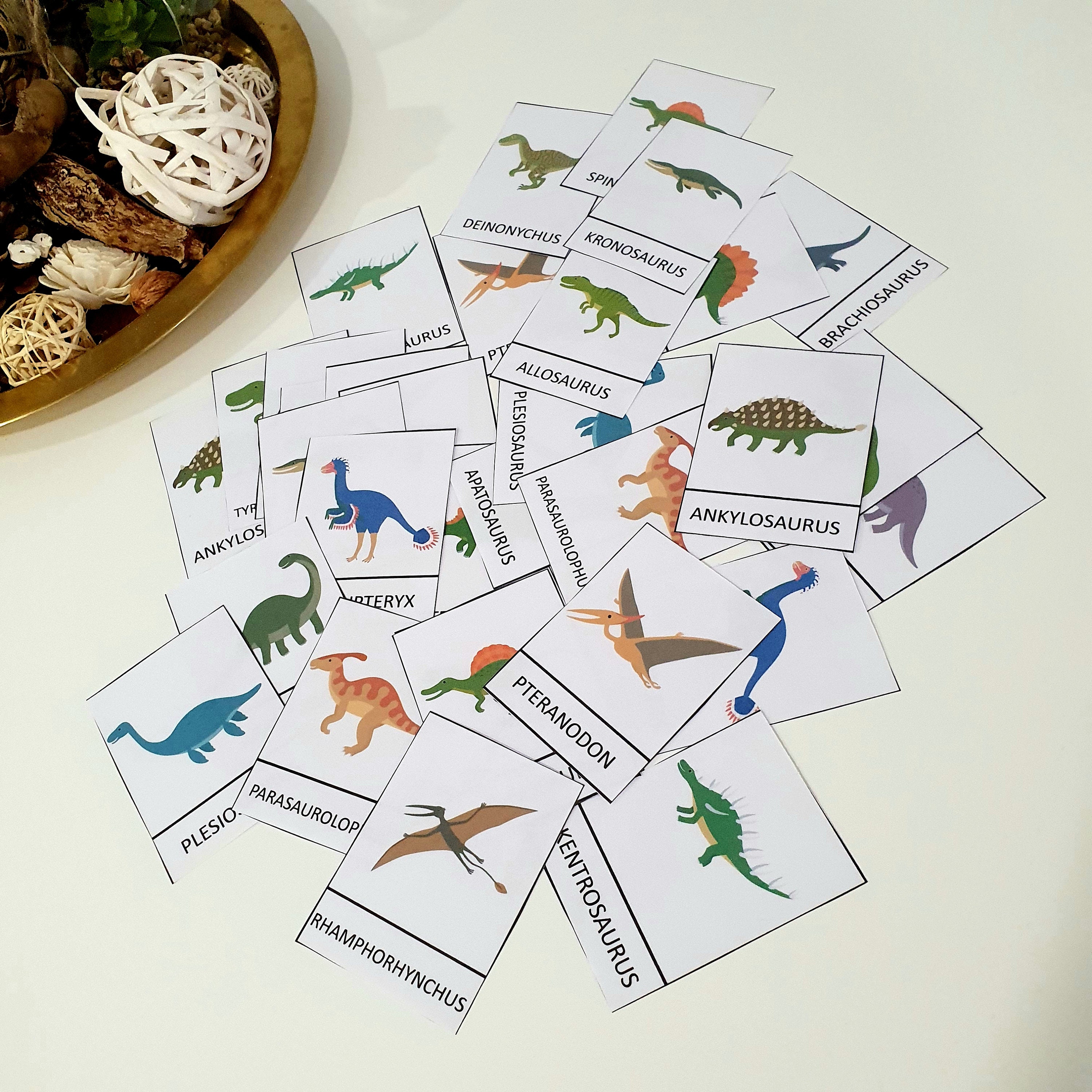 Dinosaur Montessori Flashcards for Toddlers Three-part Cards - Etsy UK
