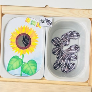 Sunflower Seeds Counting to 20, Printable Flisat Insert, Trofast Insert ...