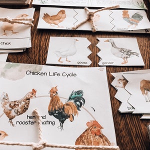 Farm Animals Unit Study: Homeschool Learning Activities (PDF) - Etsy