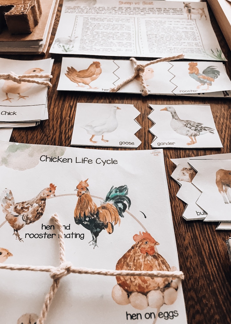 Farm Animals Unit Study: Homeschool Learning Activities (PDF) - Etsy