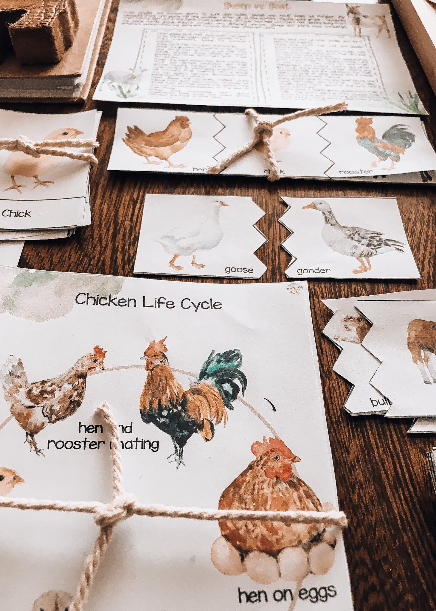 Farm Unit Study Farm Animals Themed Printable Farm Animals - Etsy Australia