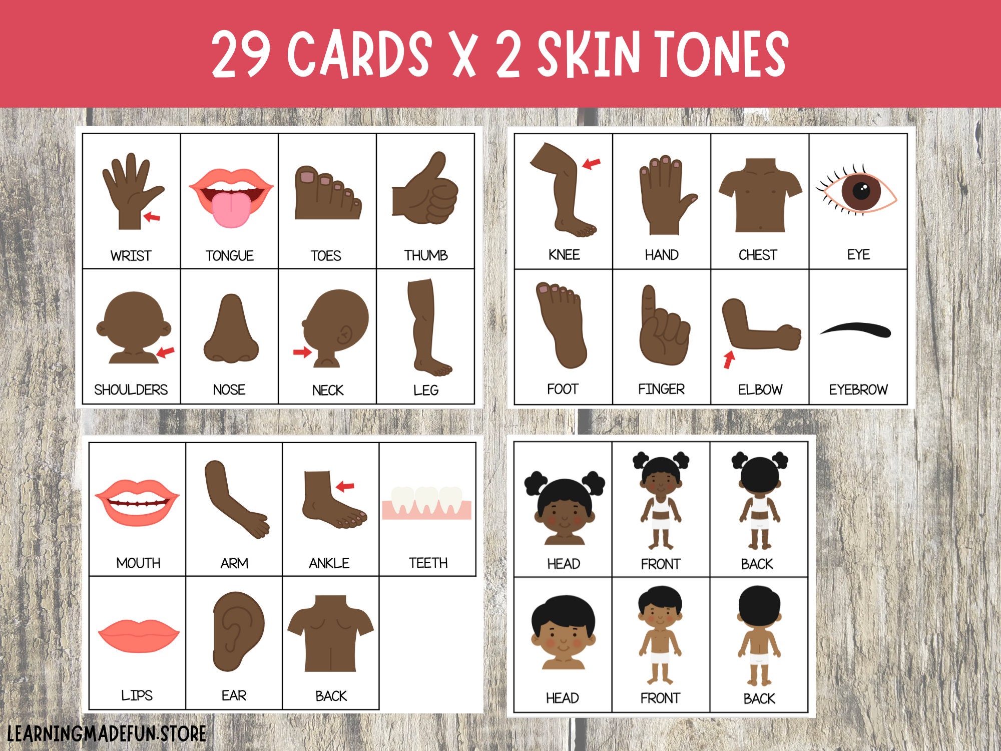 Body Parts Flashcards Preschool Flash Cards 3-part Cards - Etsy