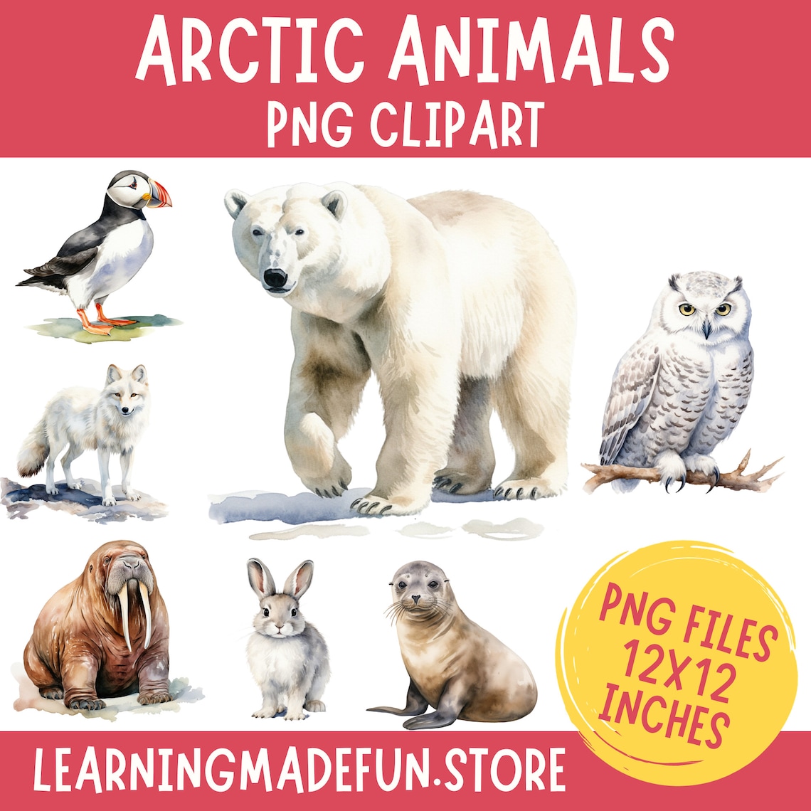 Watercolor Arctic Animals Clipart: Polar Bear, Seal, Whale (PNG Digital ...