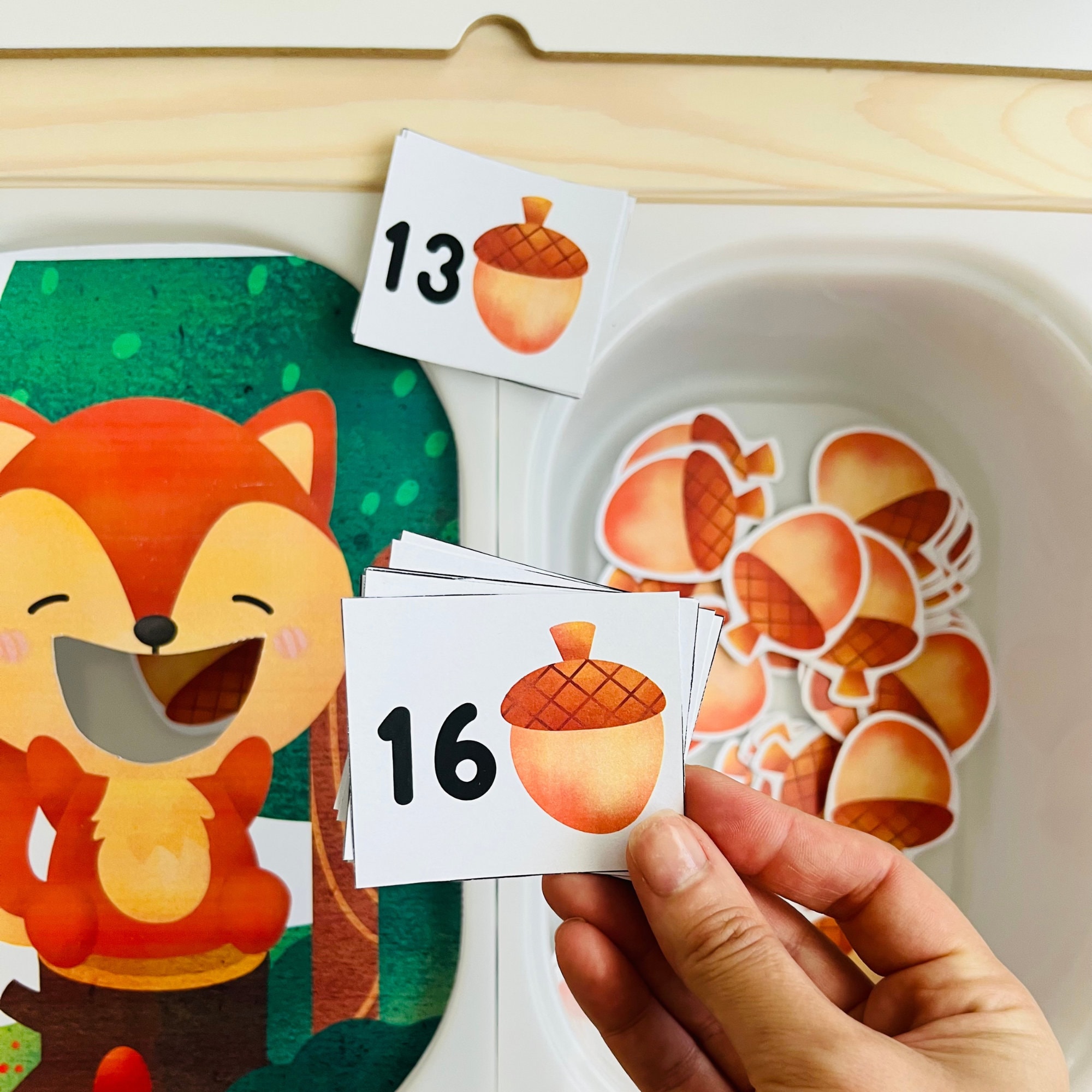 Squirrel Counting Flisat Insert, Preschool Learning (printable) - Etsy