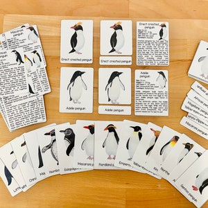 Penguins Identification Cards, Penguins Three Part Cards, Montessori ...