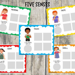 Five Senses Sorting Activity: Preschool Learning Resource (digital ...