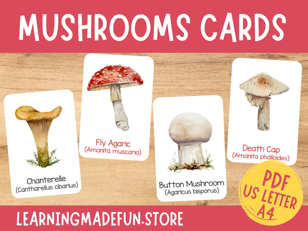 Mushroom Identification Flashcards: Montessori Three Part Cards ...