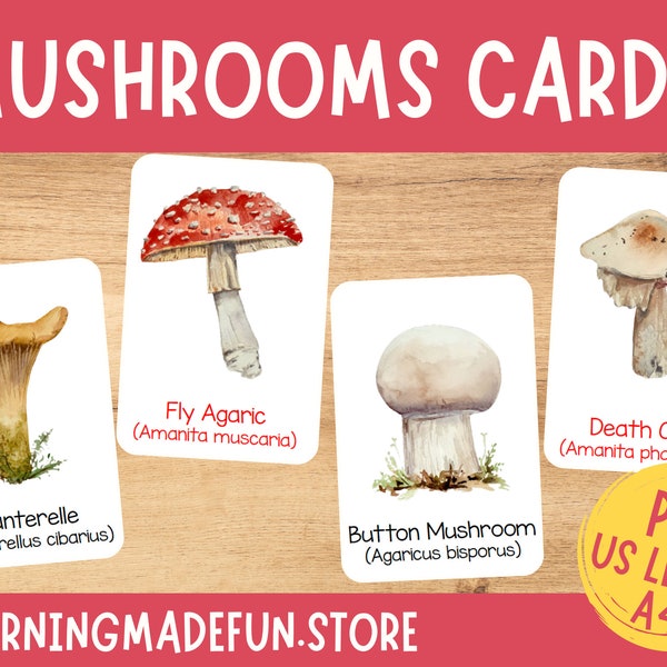 Mushrooms - Etsy