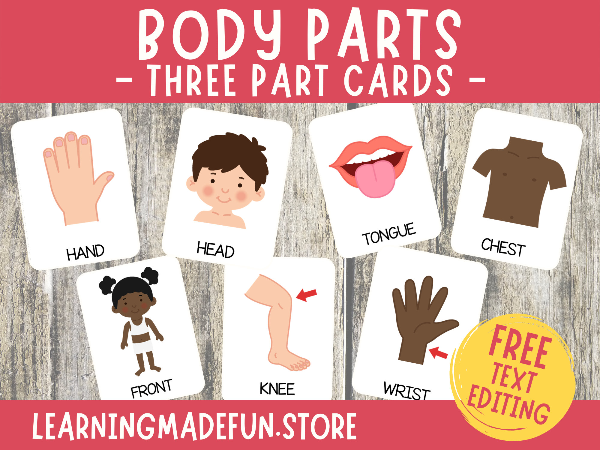 Body Parts Flashcards Preschool Flash Cards 3-part Cards - Etsy