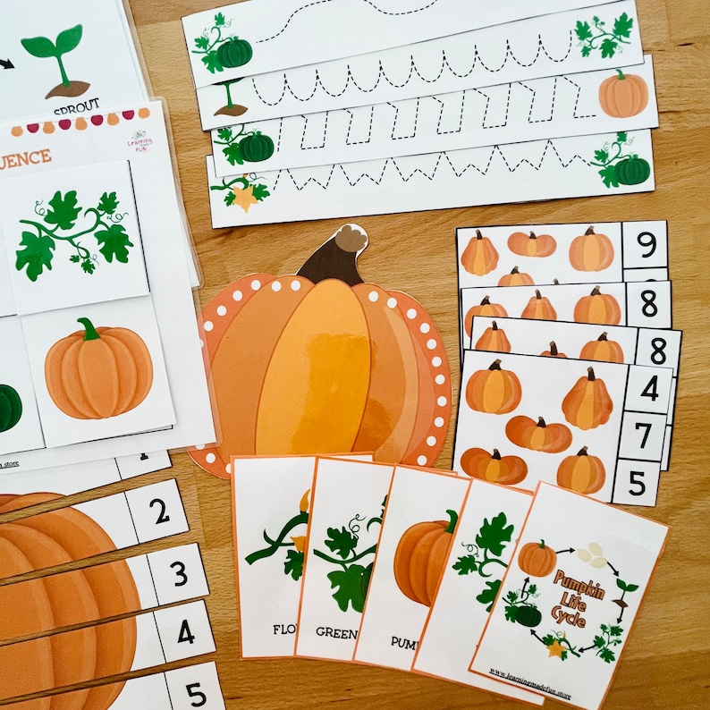 Pumpkin Unit Study Pumpkin Themed Printable Fall Activity - Etsy