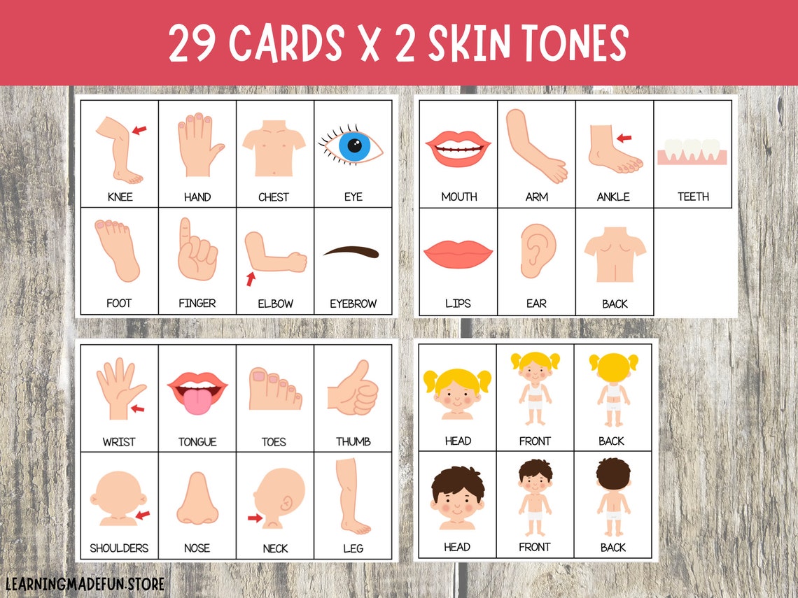 Body Parts Flashcards Preschool Flash Cards 3-part Cards - Etsy