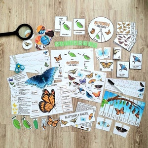 Butterfly Unit Study, Learning Bundle, Butterfly Life Cycle Activity ...