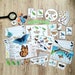 Butterfly Unit Study, Learning Bundle, Butterfly Life Cycle Activity ...