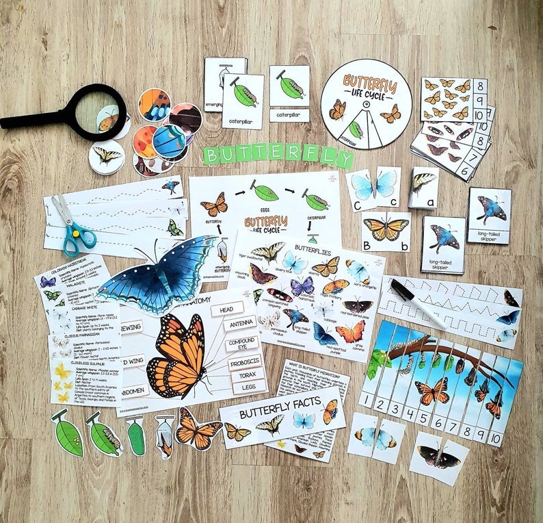 Butterfly Unit Study Learning Bundle Butterfly Life Cycle - Etsy