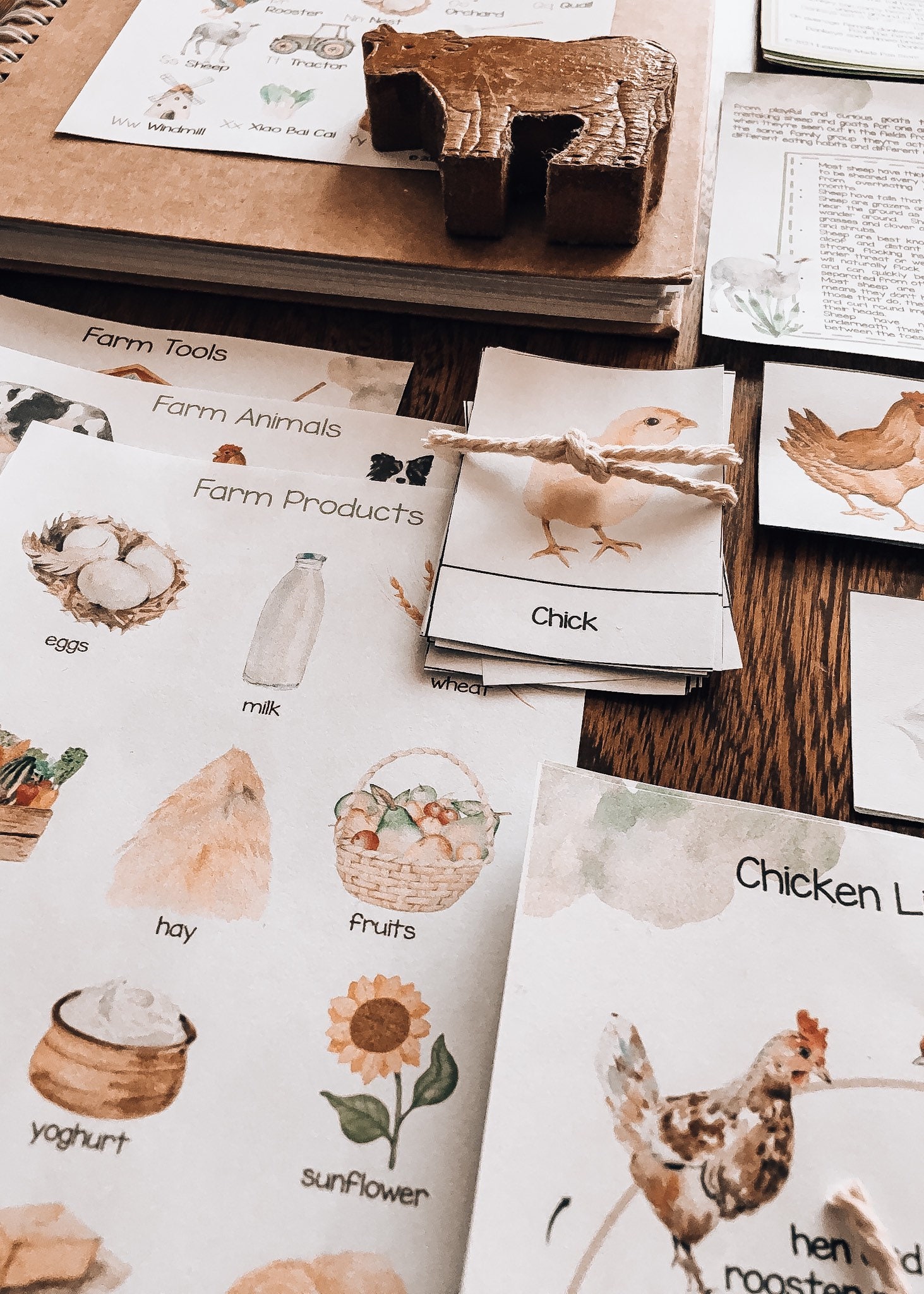 Farm Animals Unit Study: Homeschool Learning Activities (PDF) - Etsy