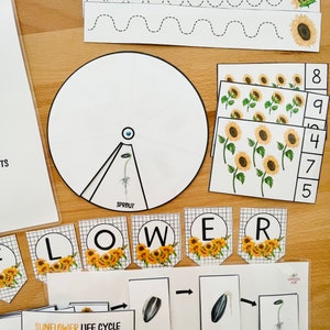 Sunflower Unit Study, Learning Bundle, Sunflower Life Cycle Activity ...