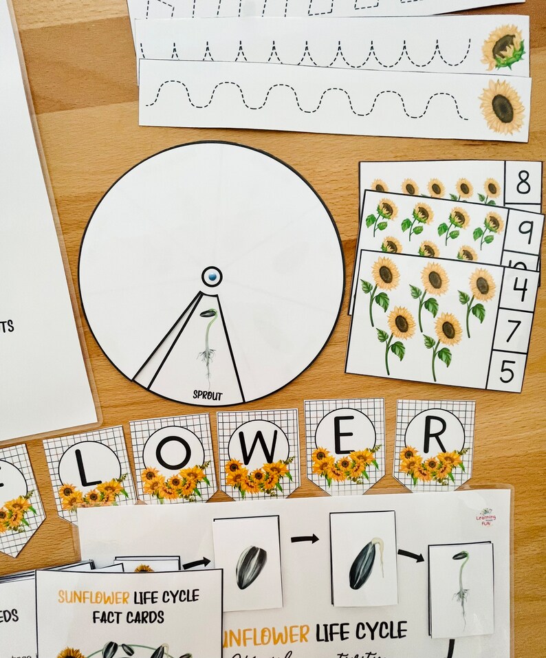 Sunflower Unit Study Learning Bundle Sunflower Life Cycle - Etsy