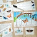 Butterfly Unit Study, Learning Bundle, Butterfly Life Cycle Activity ...