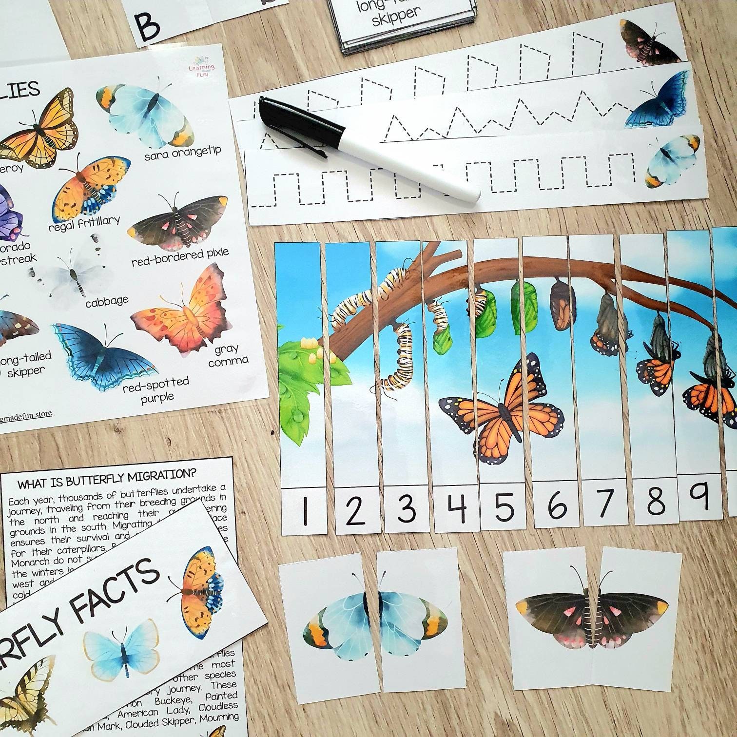 Butterfly Unit Study Learning Bundle Butterfly Life Cycle - Etsy