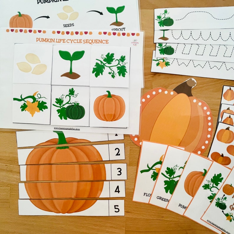 Pumpkin Life Cycle Unit Study: Preschool Learning Activities (PDF) - Etsy