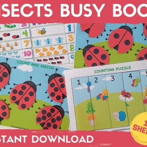 Toddler Busy Book, Insects Learning Binder, Toddler Learning Folder ...