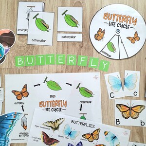 Butterfly Unit Study, Learning Bundle, Butterfly Life Cycle Activity ...