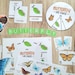 Butterfly Unit Study, Learning Bundle, Butterfly Life Cycle Activity ...