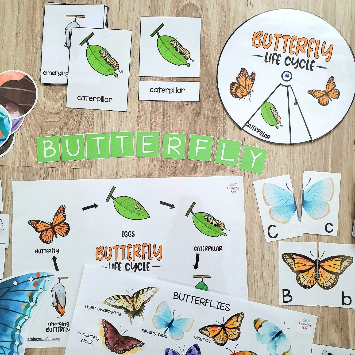 Butterfly Unit Study Learning Bundle Butterfly Life Cycle - Etsy