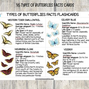 Butterfly Unit Study, Learning Bundle, Butterfly Life Cycle Activity ...