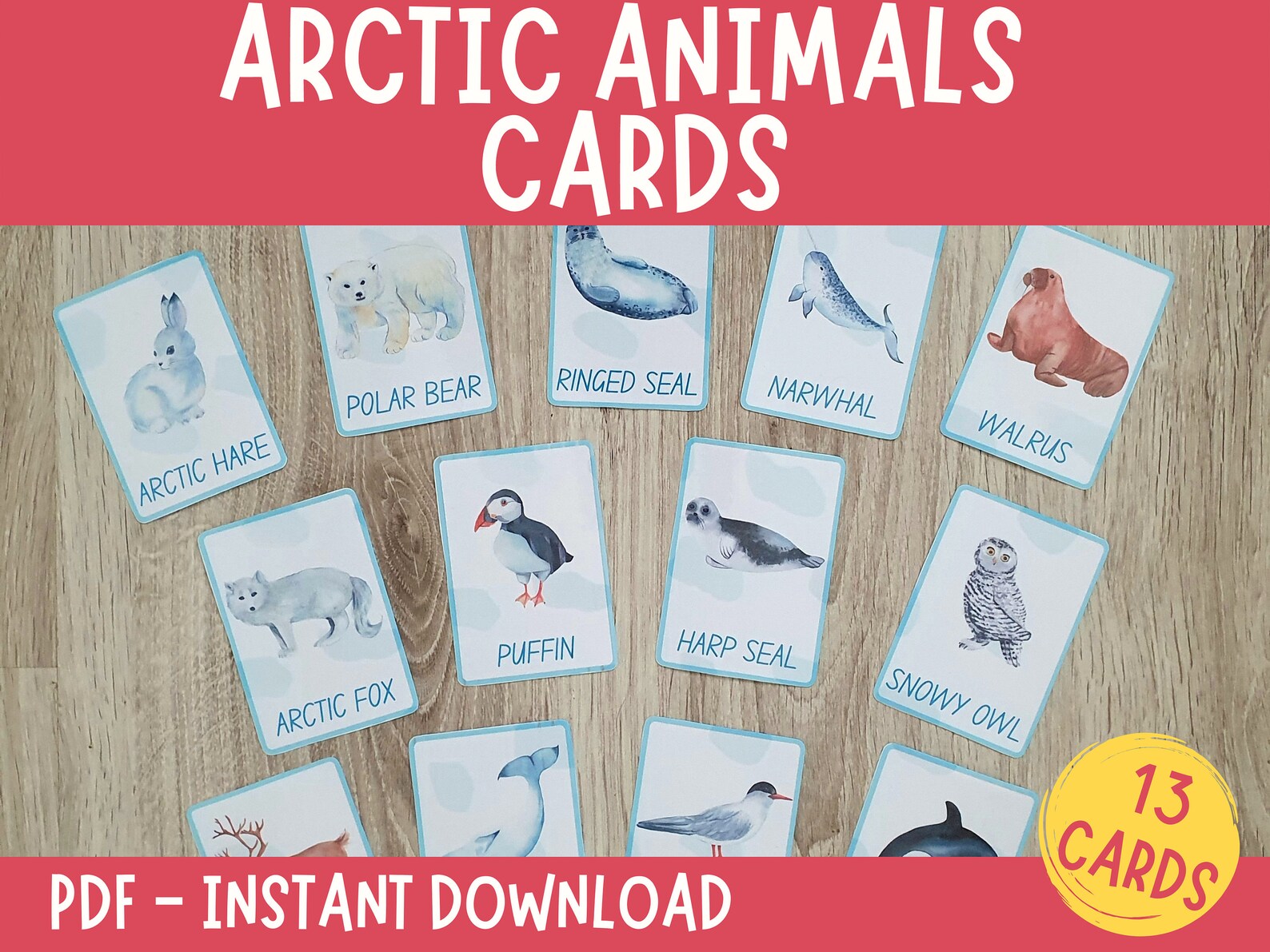 Arctic Animals Flashcards Montessori Cards Polar Animals - Etsy