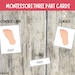 Body Parts Flashcards, Preschool Flash Cards, 3-part Cards, Human Body ...