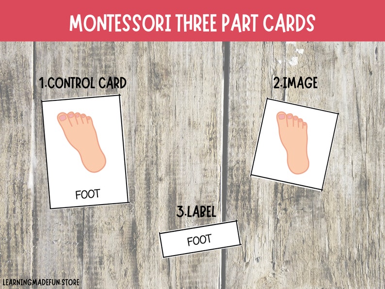 Body Parts Flashcards: Montessori Nomenclature Cards (digital Download ...