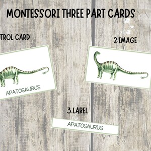 Dinosaurs Montessori Cards, Alphabet Flash Cards, Three Part Cards ...