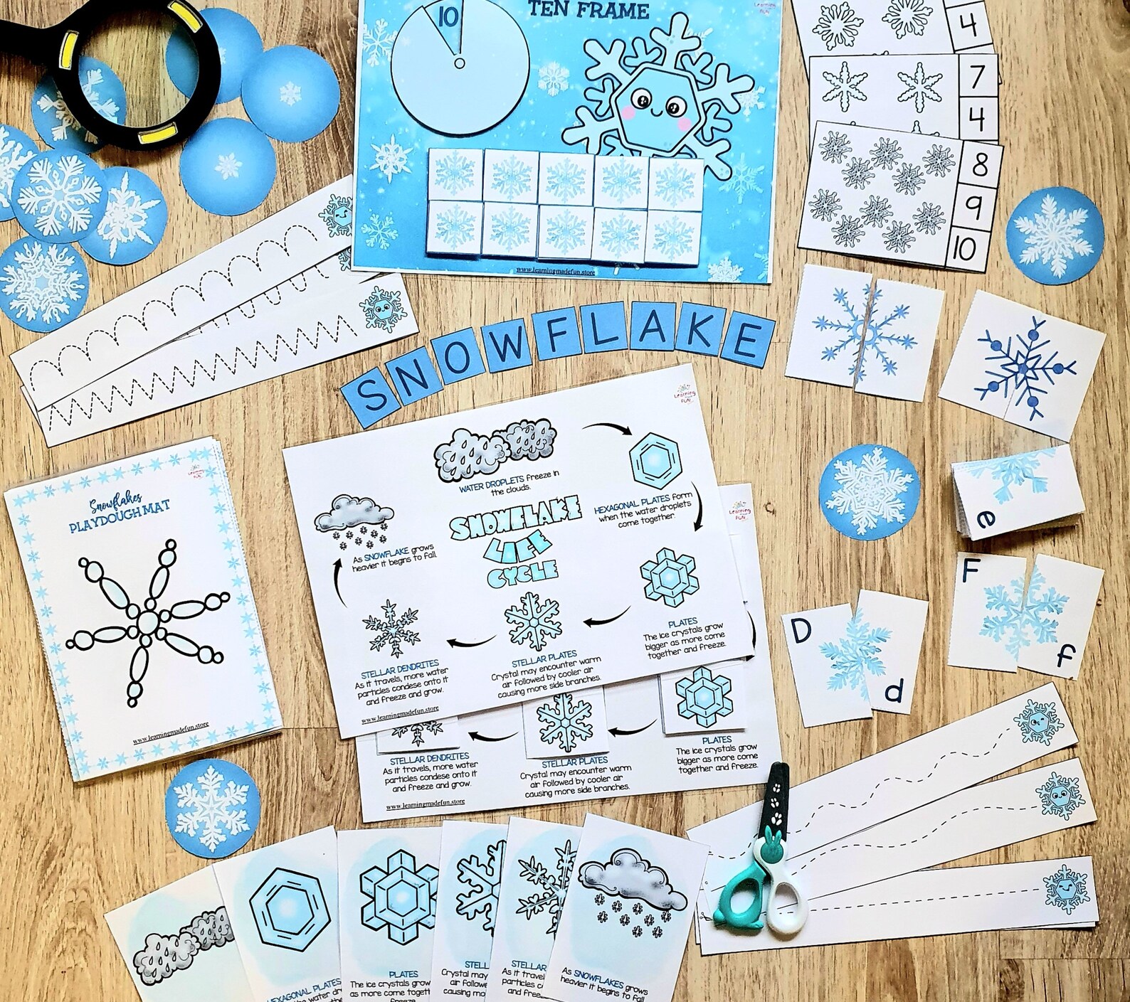 Snowflake Life Cycle Unit Study: Winter Learning Bundle (PDF) - Etsy