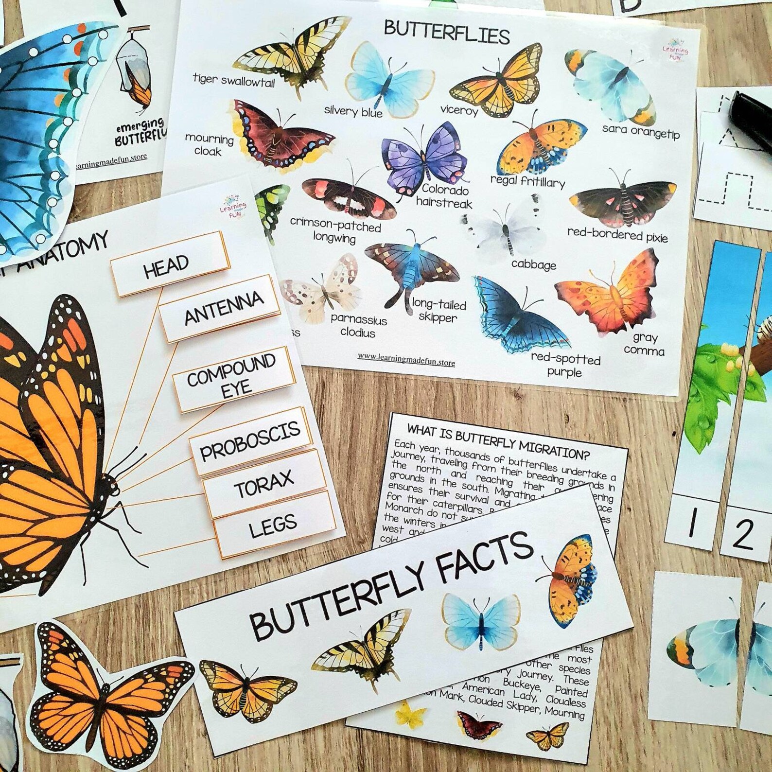 Butterfly Unit Study Learning Bundle Butterfly Life Cycle - Etsy