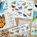 Butterfly Unit Study, Learning Bundle, Butterfly Life Cycle Activity ...