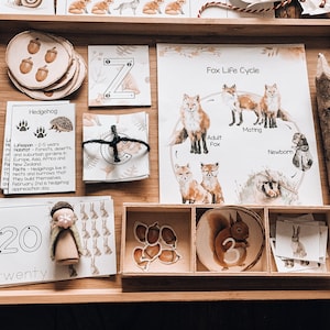 Woodland Unit Study, Forest Animals Printable, Nature Studies ...