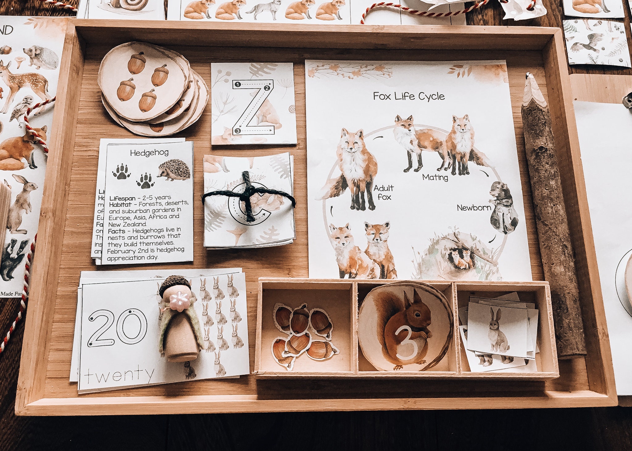 Woodland Unit Study, Forest Animals Printable, Nature Studies ...