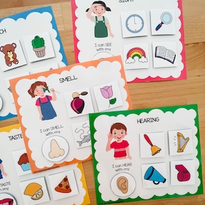 Five Senses Sorting Activity: Preschool Learning Resource (digital ...