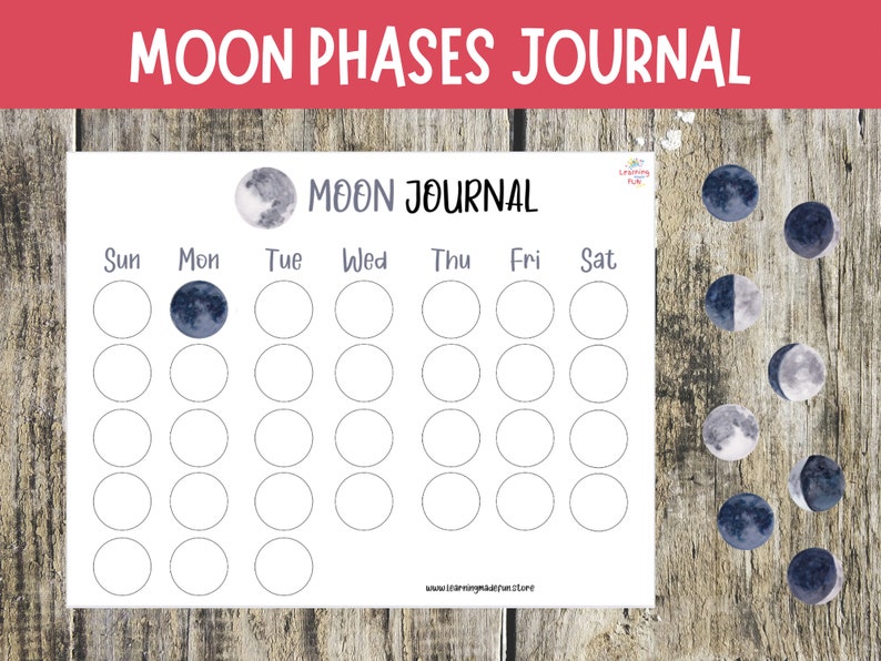 Moon Phases Unit Study Phases of the Moon Learning Activity - Etsy