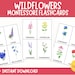 Arctic Animals Flashcards, Montessori Cards, Polar Animals Card ...