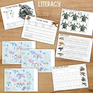 Sea Turtle Printable Unit Study | Educational Activities for Kids 4-7 ...