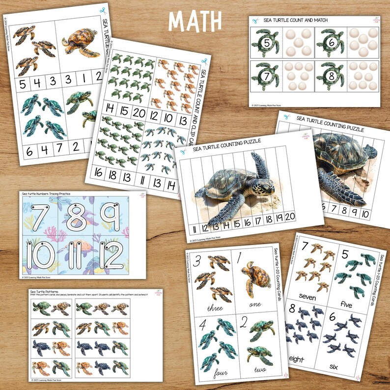 Sea Turtle Unit Study | Life Cycle, Anatomy, Math & Literacy (digital ...