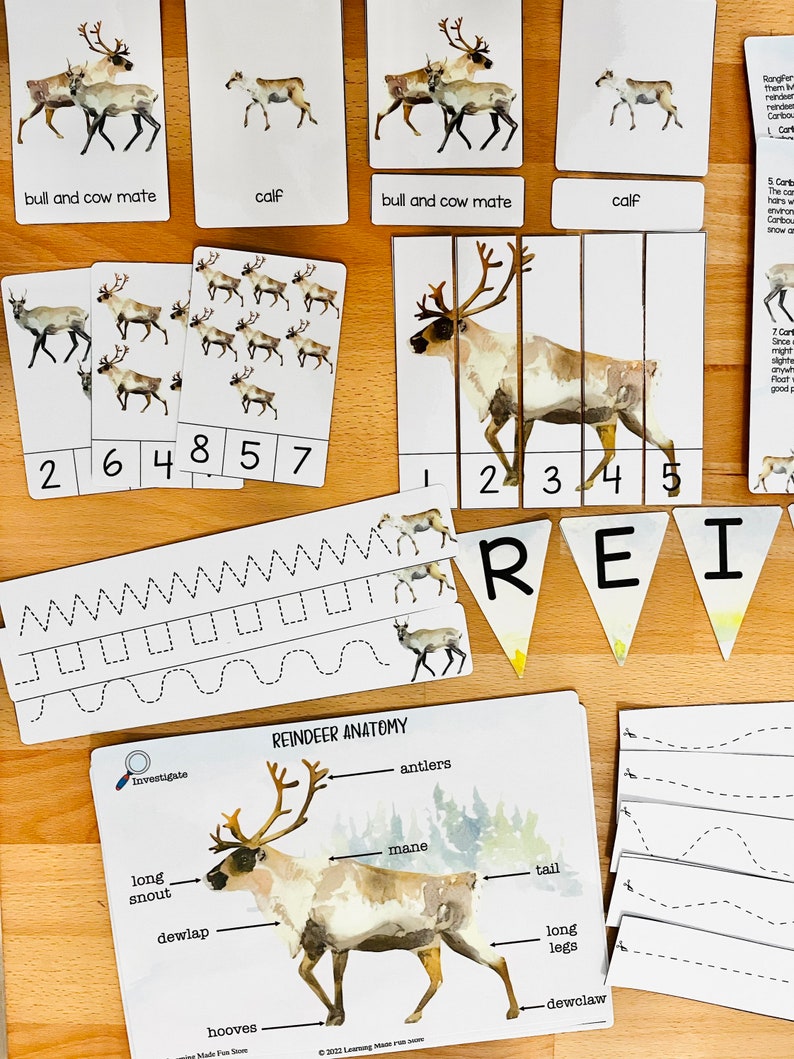 Reindeer Unit Study: Anatomy, Life Cycle, & Counting (printable) - Etsy