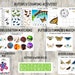 Butterfly Unit Study, Learning Bundle, Butterfly Life Cycle Activity ...