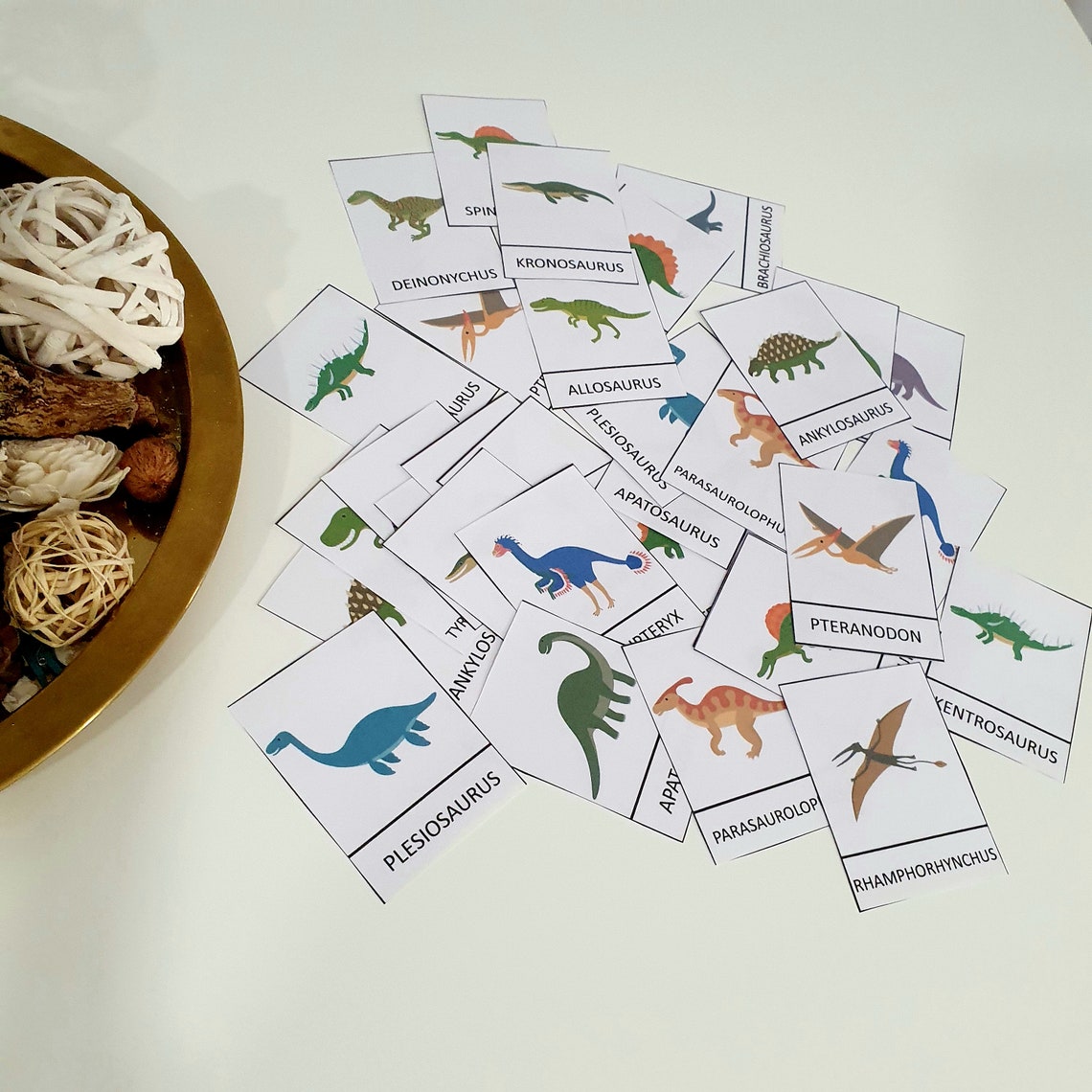 Dinosaur Montessori Flashcards for Toddlers Three-part Cards - Etsy UK