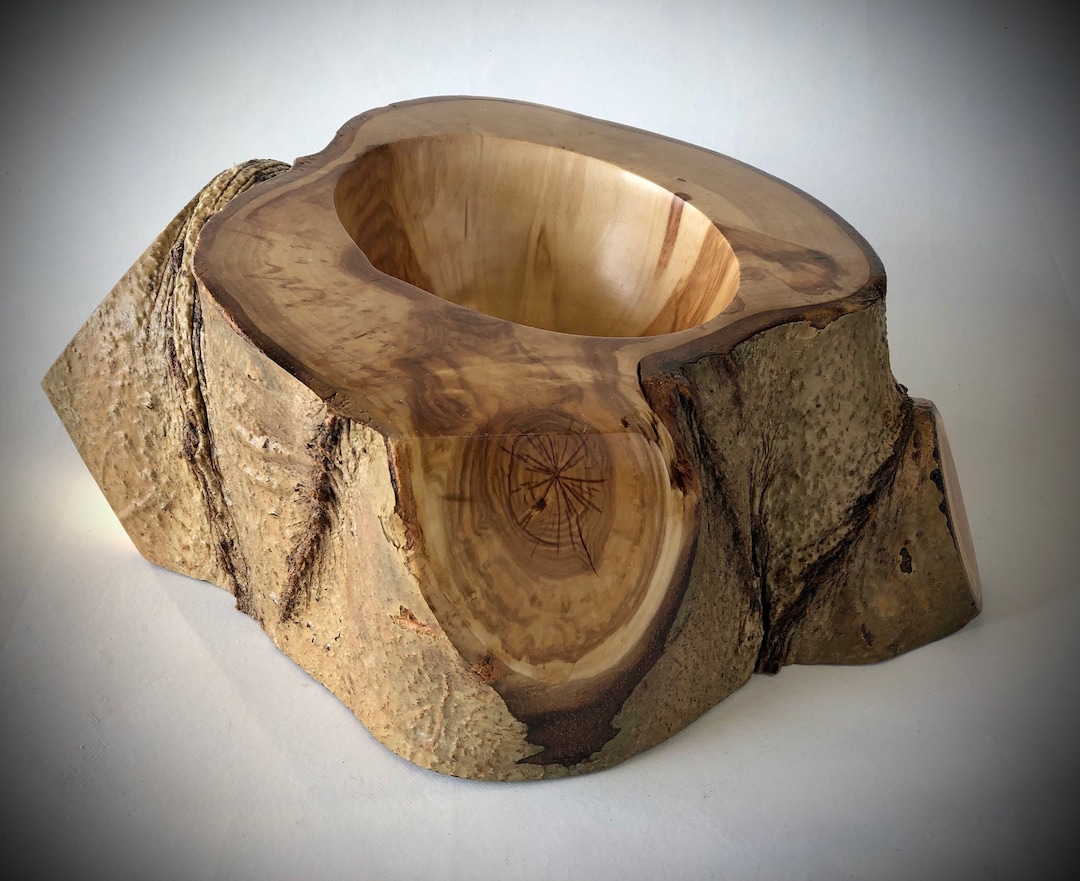 Aspen Tree Trunk Bowl - Vessel - Etsy