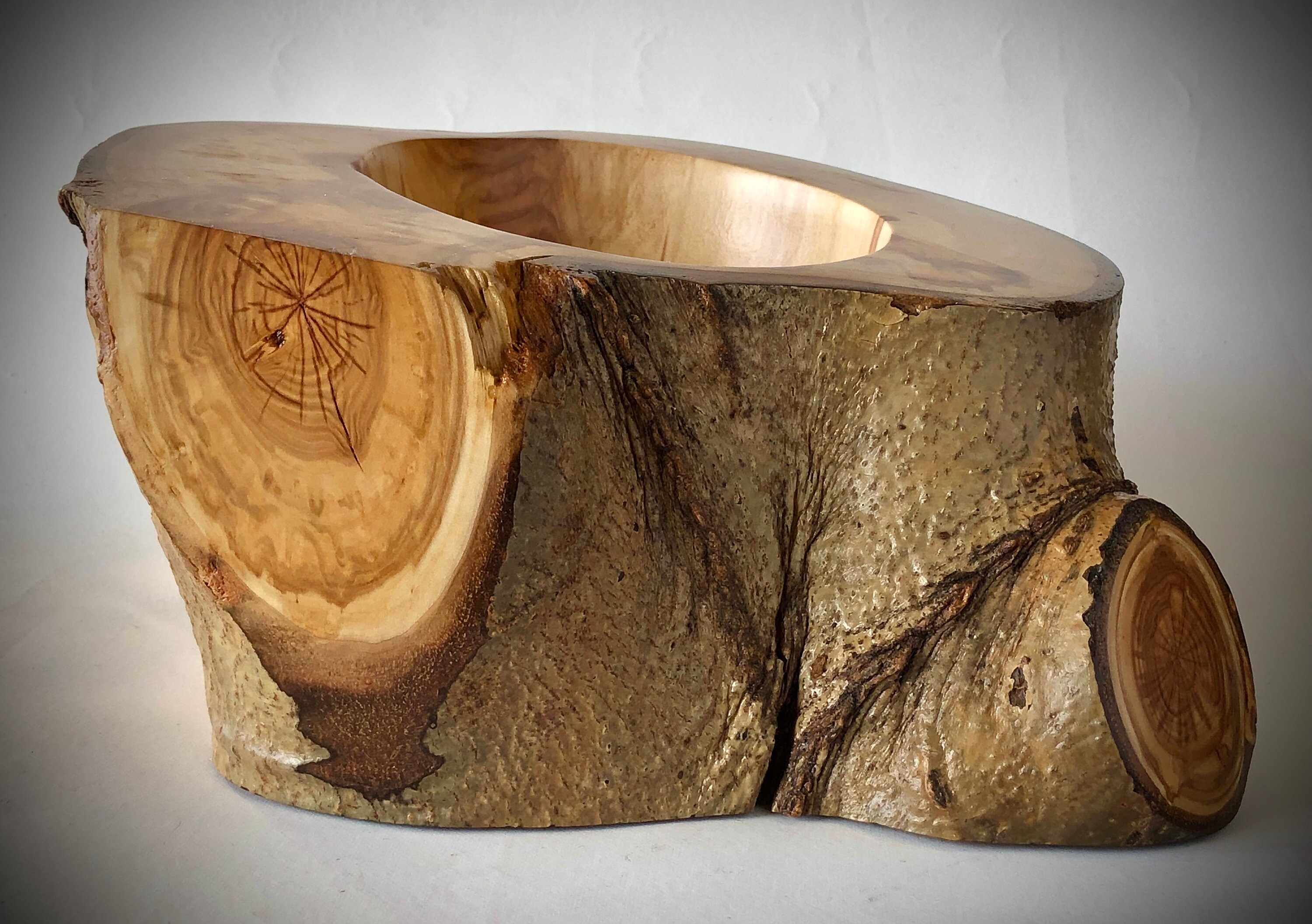 Aspen Tree Trunk Bowl Vessel - Etsy